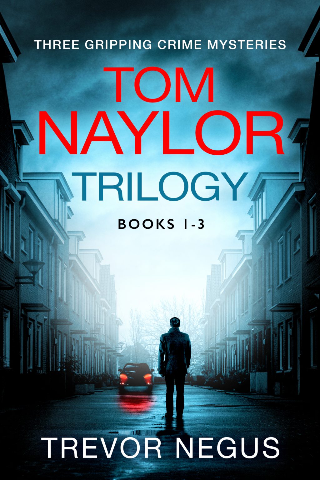 Tom Naylor Trilogy by Trevor Negus - Zooloo's Book Tours